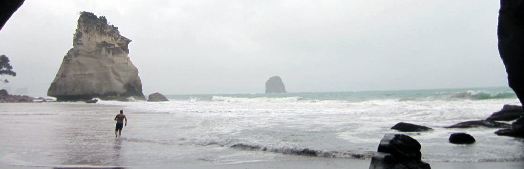Coromandel Explorer Walk - Tuatara Tours