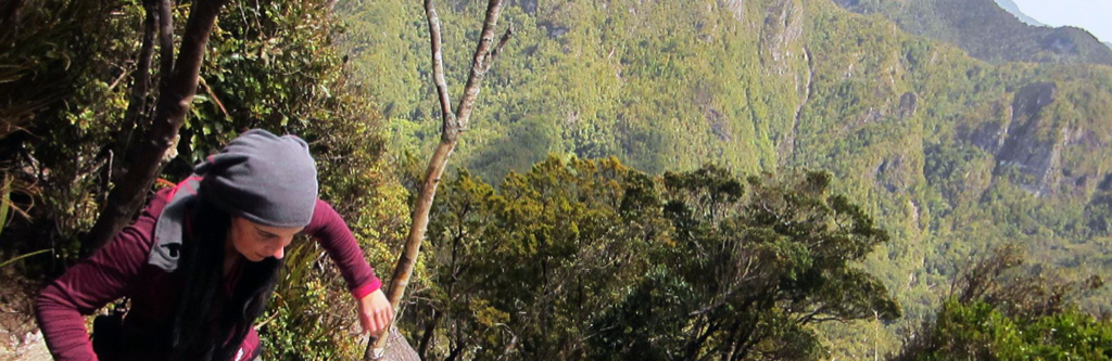 Coromandel Explorer Walk - Tuatara Tours