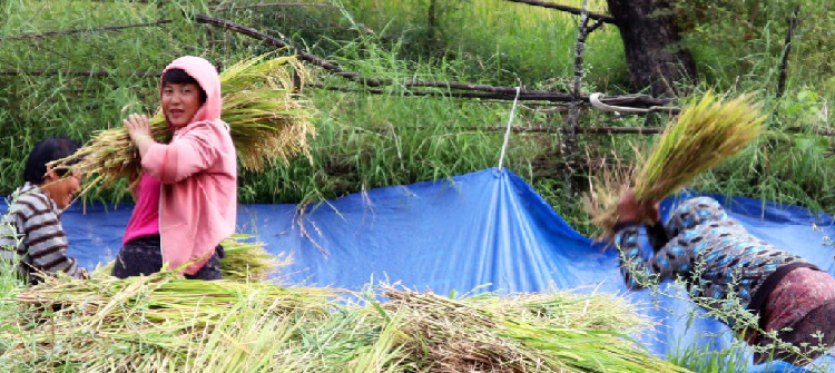 Experience Bhutan - Magical Untamed Eastern Bhutan with Tuatara Tours ...