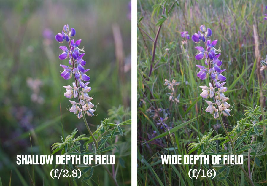 How To... Understand Exposure in Photography - Tuatara Tours